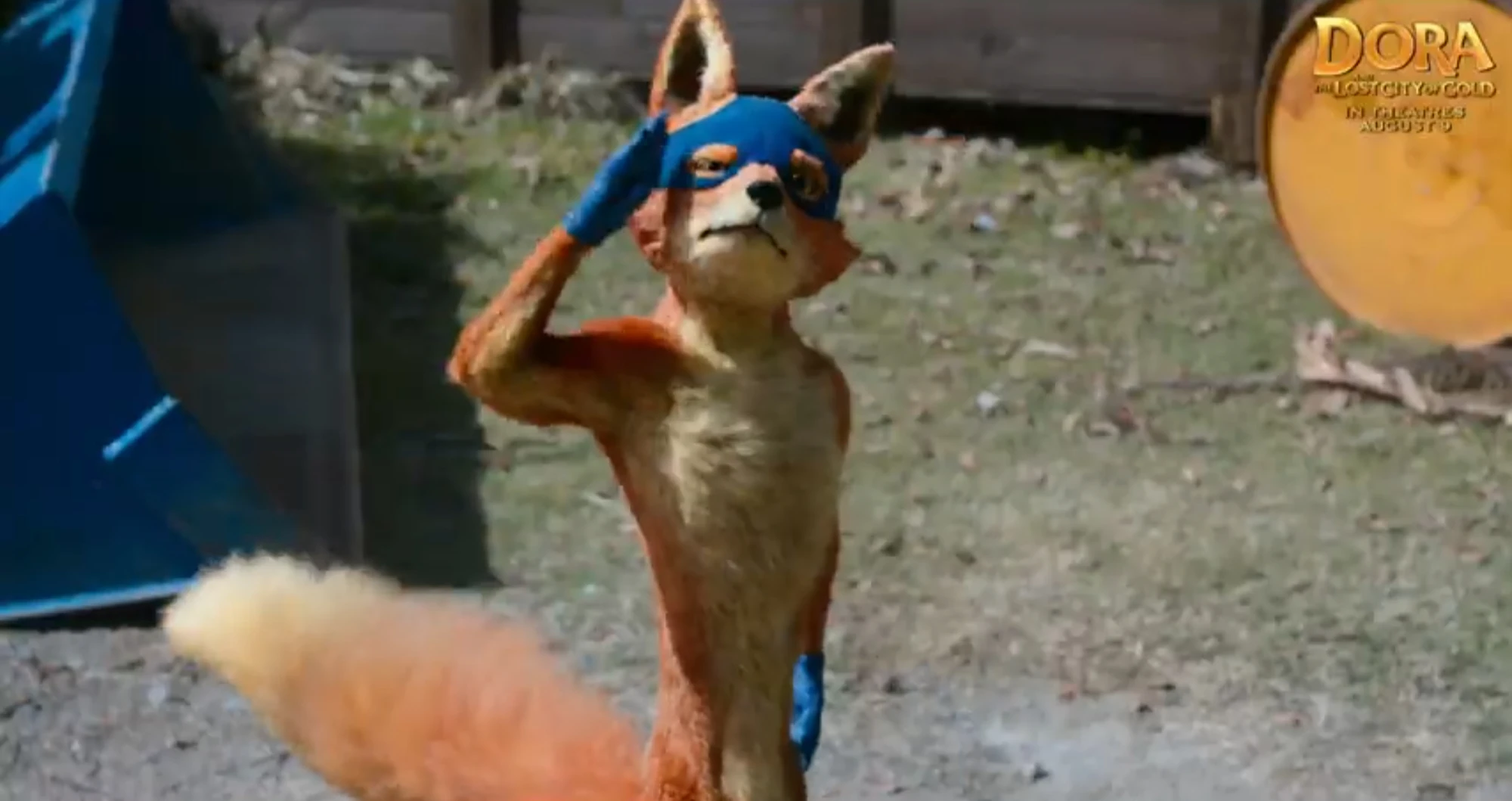 Category:Foxes | Nickelodeon | Fandom