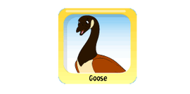 Goose (Franklin) | Nick Jr. Wiki | Fandom