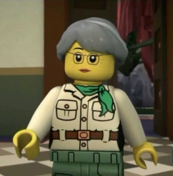 Lego Ninjago Misako