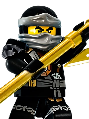 Cole | Ninjago Wiki | Fandom