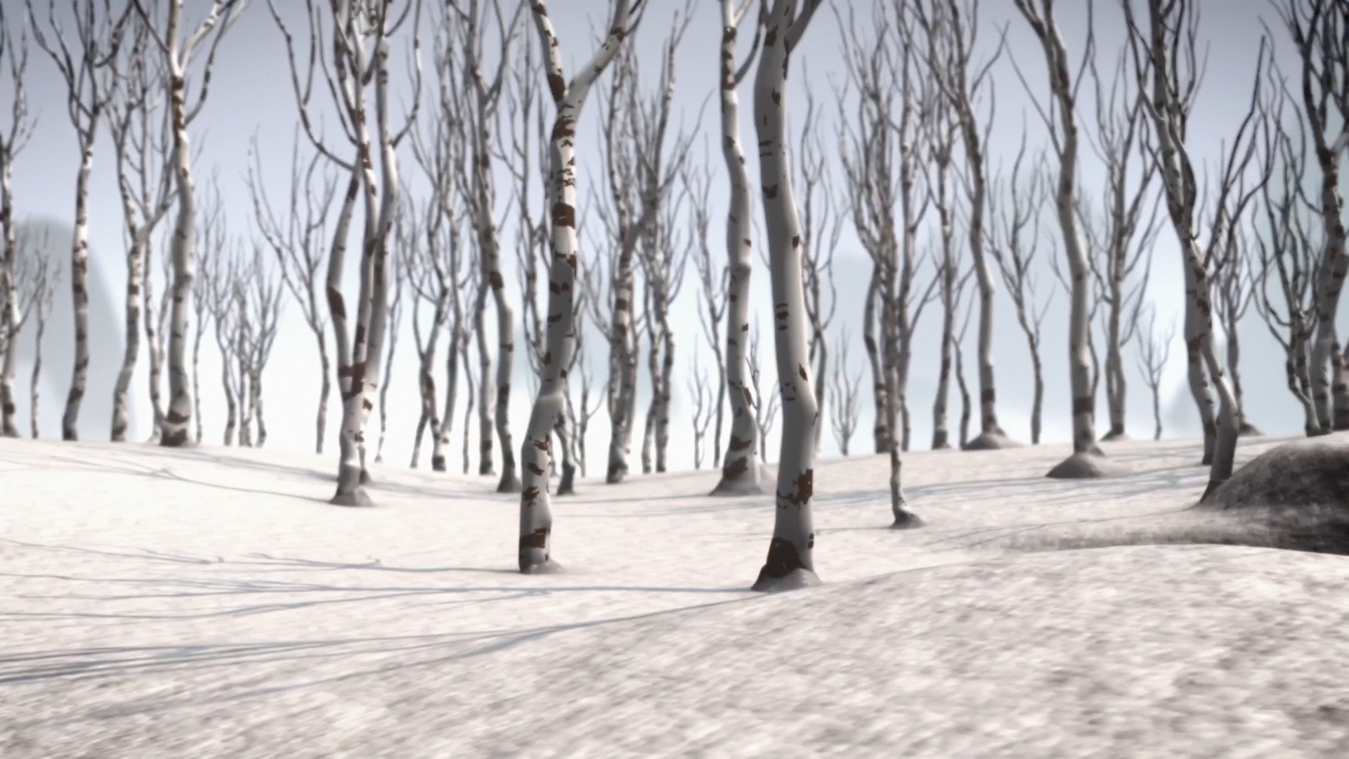 Birchwood Forest | Ninjago Wiki | Fandom