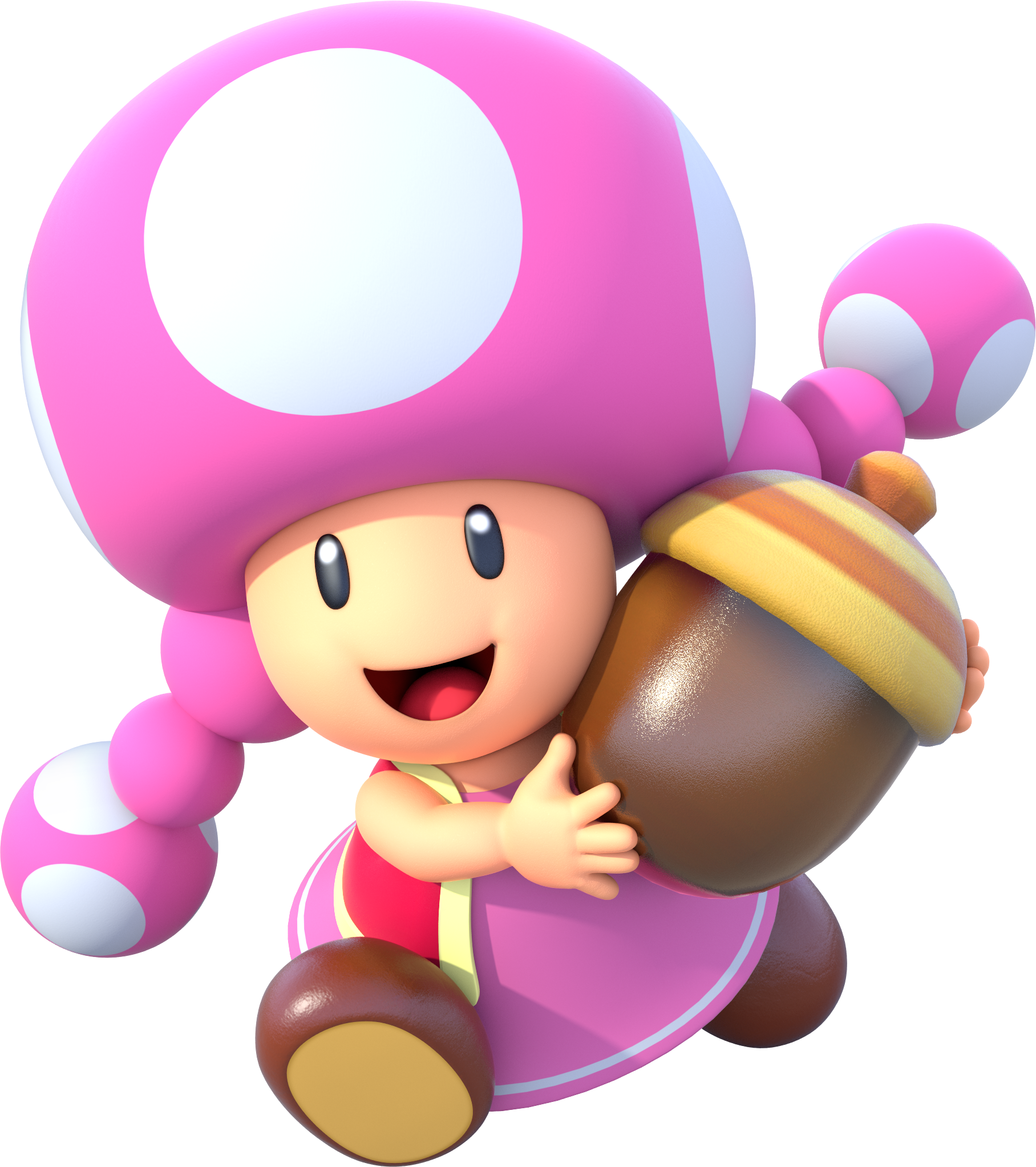 Image - MPSR Toadette.png | Nintendo | FANDOM powered by Wikia