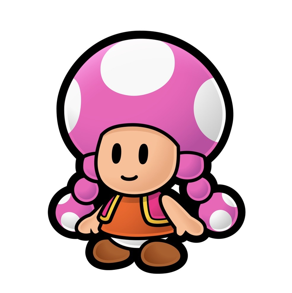 Image Tyd Toadette Png Nintendo Fandom Powered By Wikia