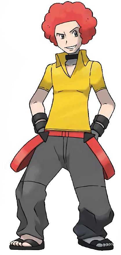 Flint (Pokémon) | Nintendo | Fandom