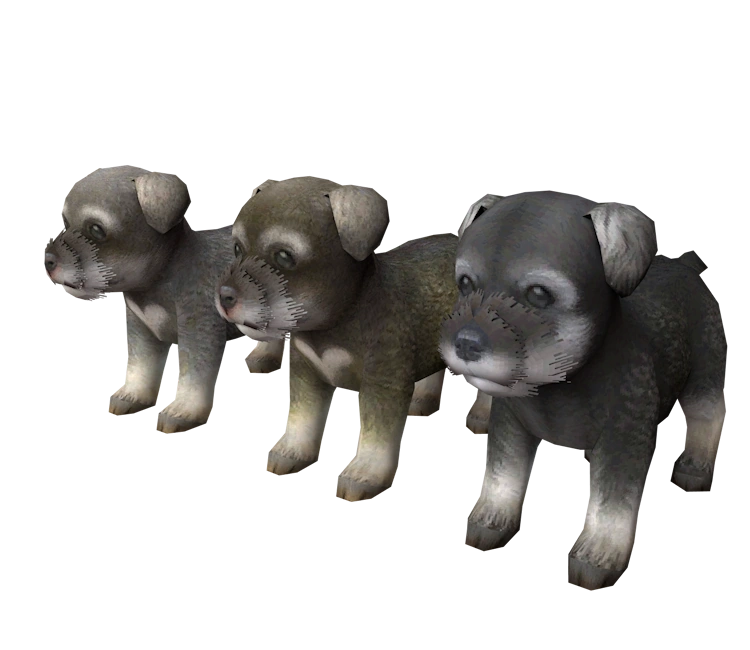 Miniature Schnauzer | Nintendogs Wiki | Fandom