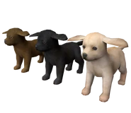 Dog Breeds | Nintendogs Wiki | Fandom