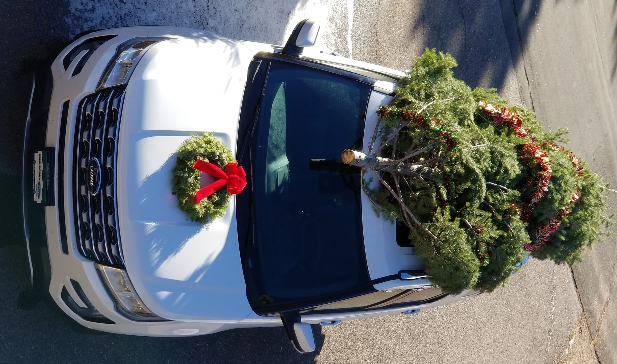 Travis' Car | Nitro Type Wiki | FANDOM powered by Wikia