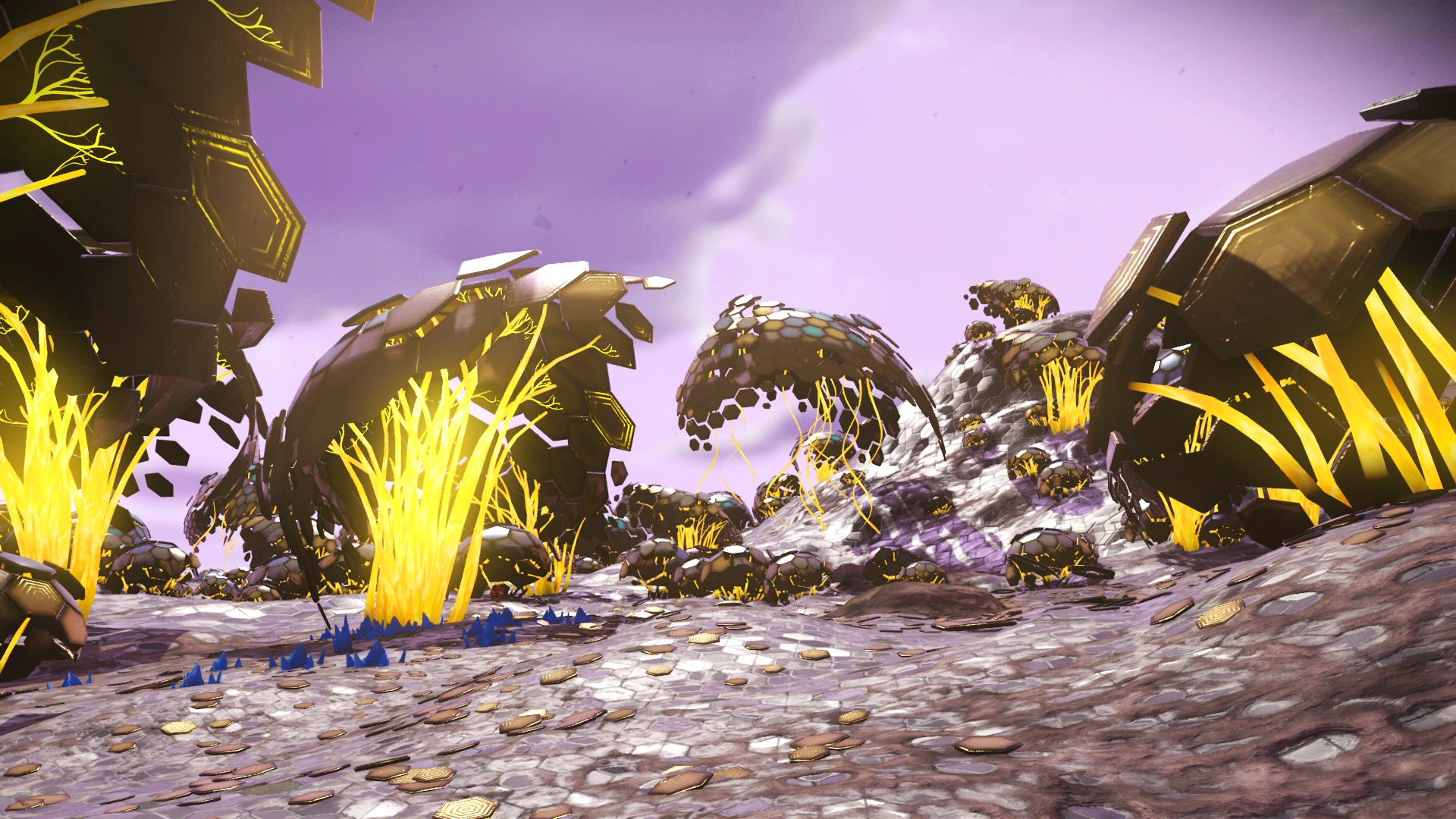 Biome hexagonal | Wikia No Man's Sky | Fandom