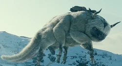 Appa | Non-alien Creatures Wiki | Fandom