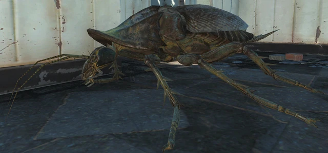 Image - Radroach Fallout 4.png | Non-alien Creatures Wiki | FANDOM ...