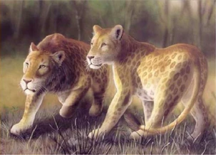 Marozi | Non-alien Creatures Wiki | FANDOM powered by Wikia