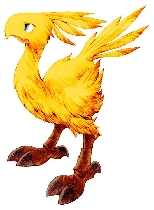 Chocobo | Non-alien Creatures Wiki | FANDOM powered by Wikia