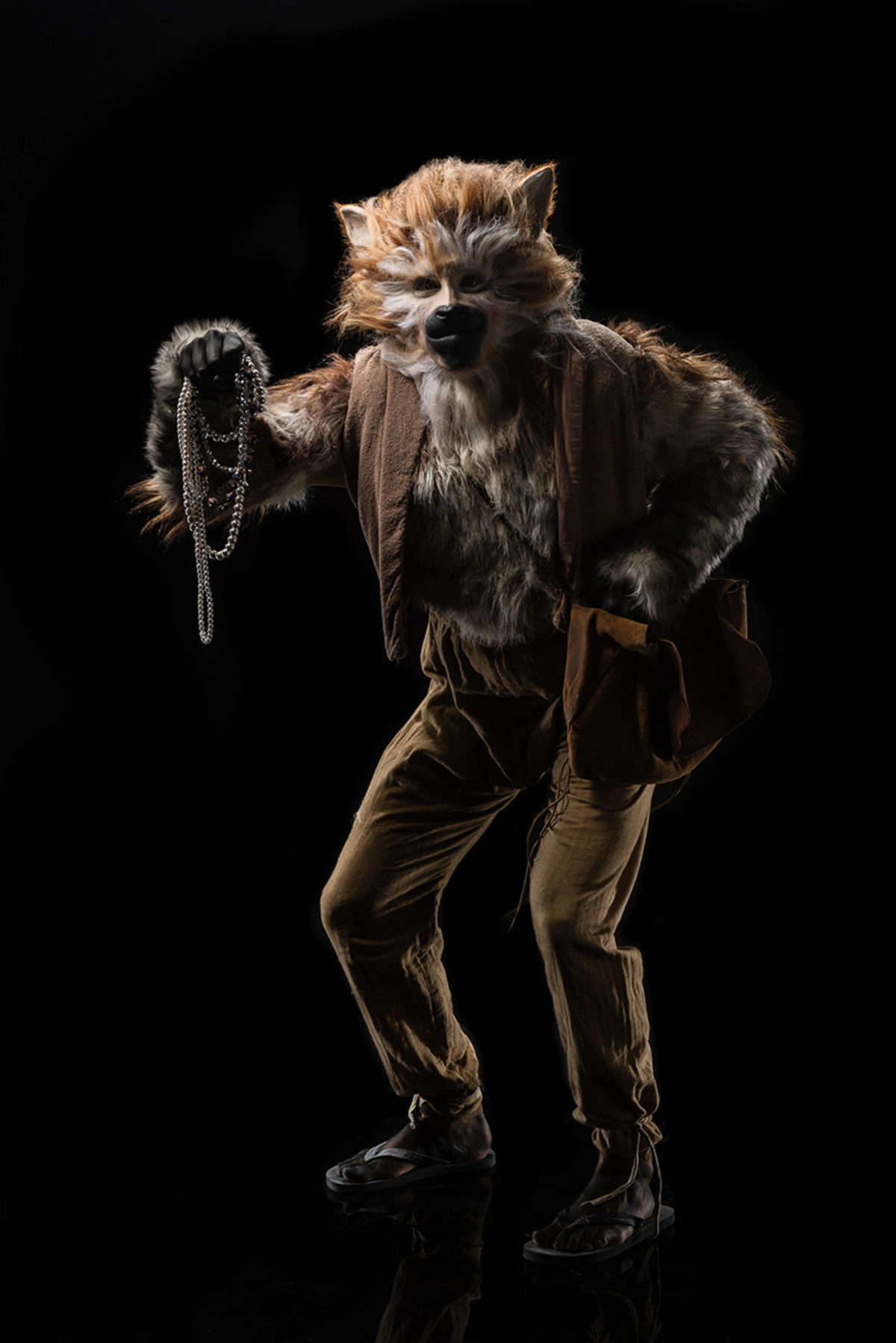 Fox/Monkey Hybrid | Non-alien Creatures Wiki | Fandom