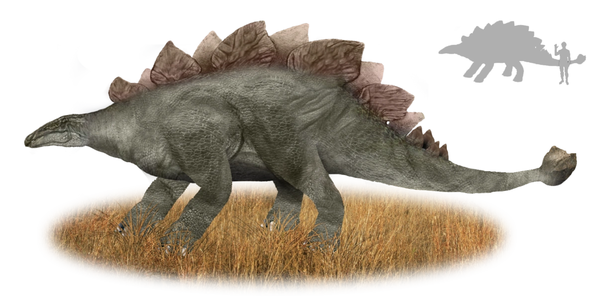 Muhuru | Non-alien Creatures Wiki | Fandom