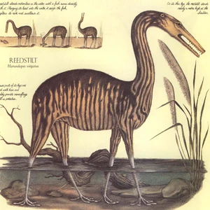 Reedstilt | Non-alien Creatures Wiki | Fandom