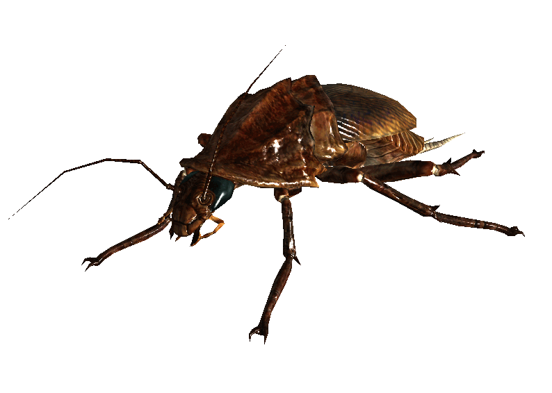 Radroach | Non-alien Creatures Wiki | FANDOM powered by Wikia