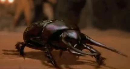 Scarab (The Mummy) | Non-alien Creatures Wiki | FANDOM powered by Wikia