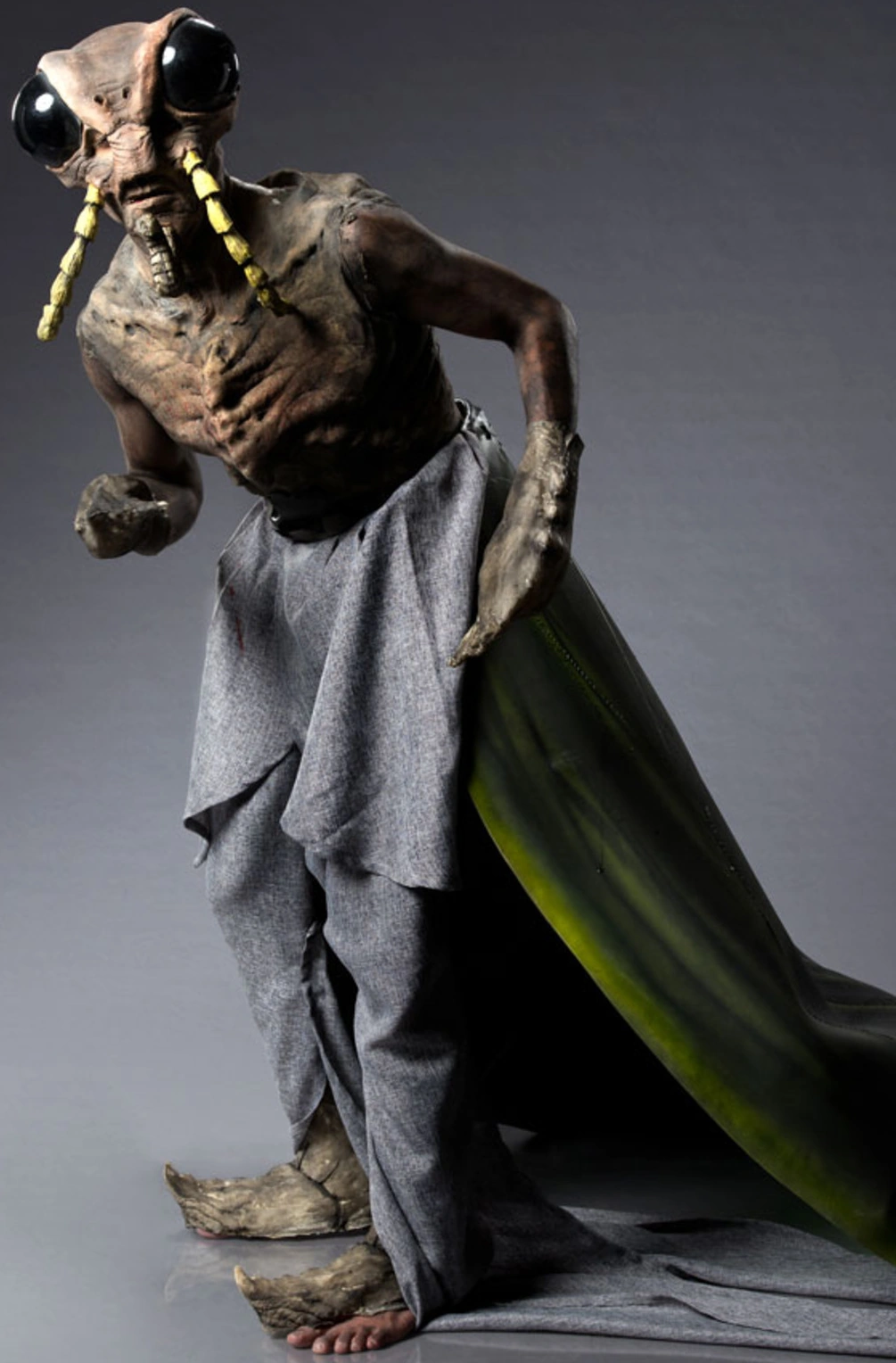 Firefly/Human Hybrid | Non-alien Creatures Wiki | Fandom