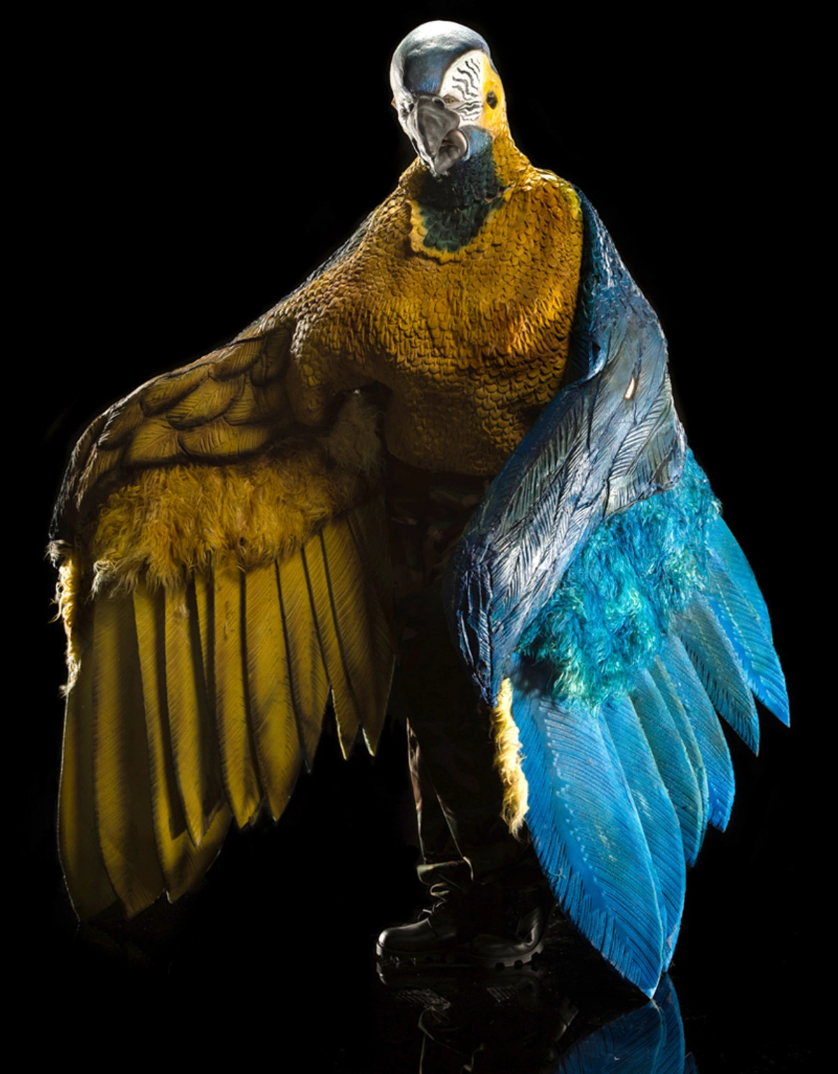 Macaw/Human Hybrid | Non-alien Creatures Wiki | Fandom