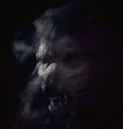 Manitou (The X-Files) | Non-alien Creatures Wiki | Fandom