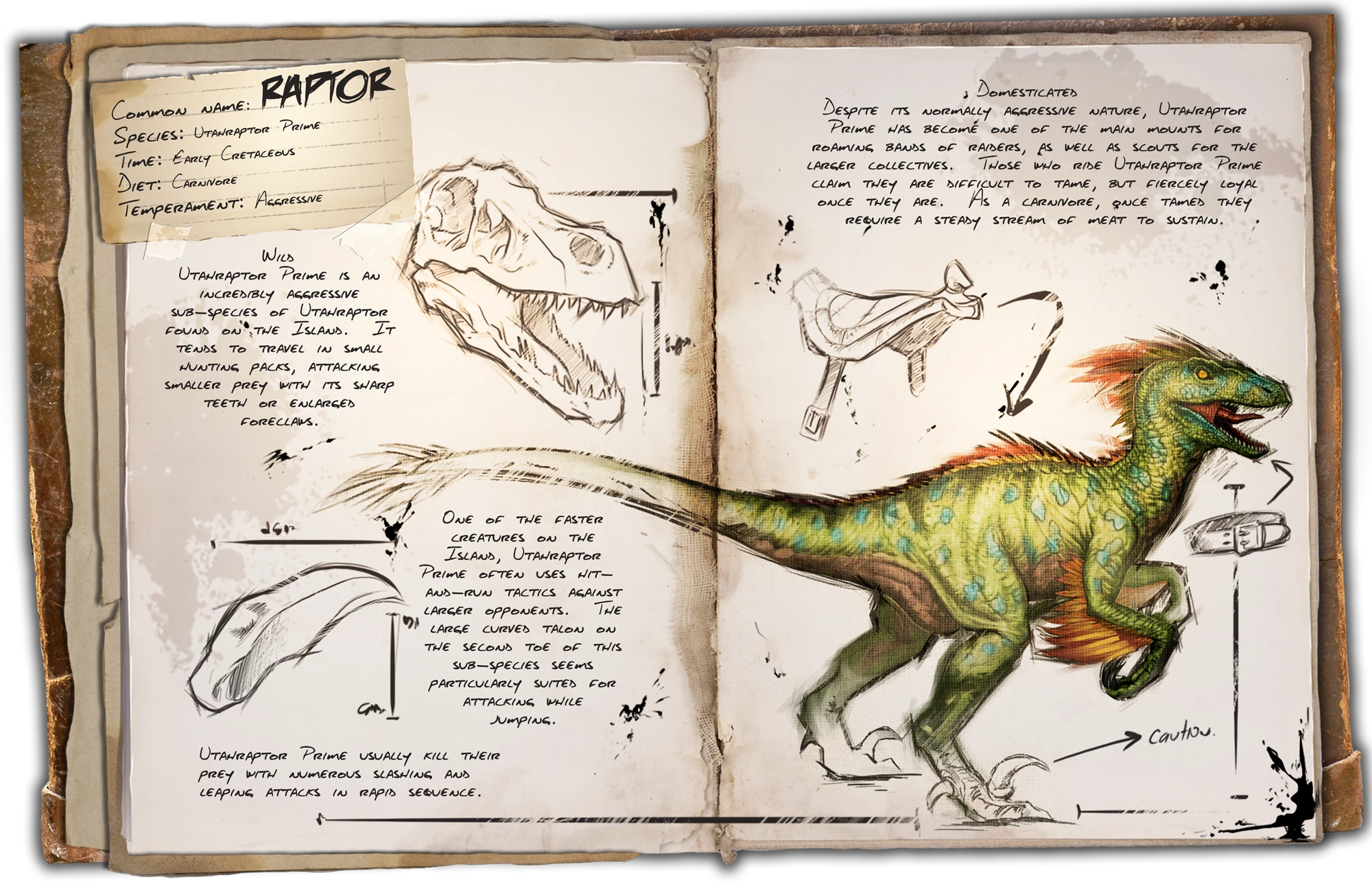 Raptor (ARK) | Non-alien Creatures Wiki | FANDOM powered by Wikia