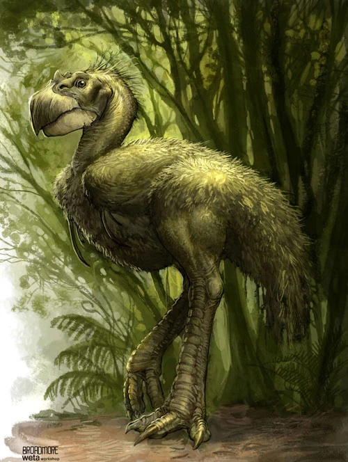 Brutornis | Non-alien Creatures Wiki | FANDOM powered by Wikia