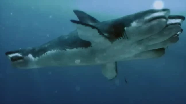 Mutant Shark (5-Headed Shark Attack) | Non-alien Creatures Wiki | Fandom