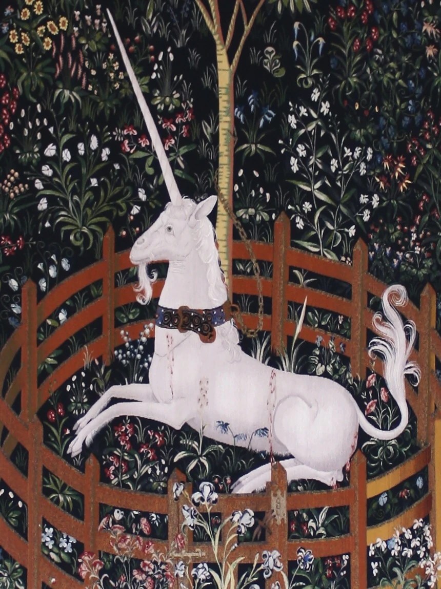 Unicorn | Non-alien Creatures Wiki | Fandom