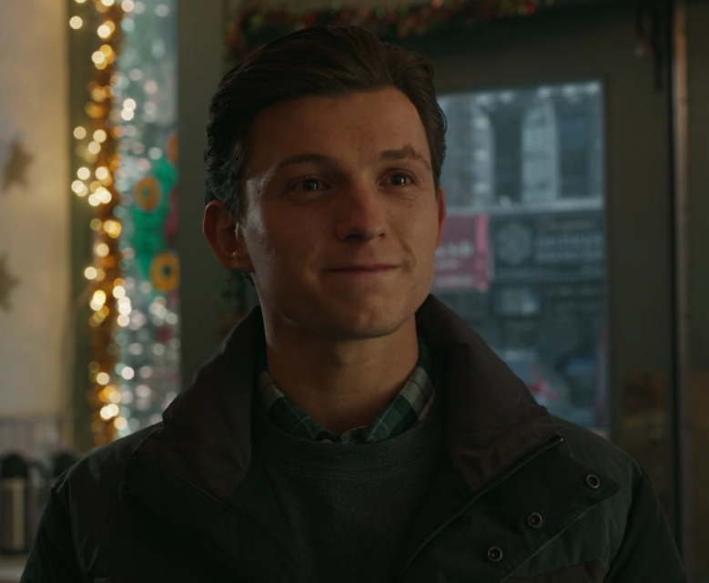 Image - Peter Parker (tom Holland).png | Non-alien Creatures Wiki 