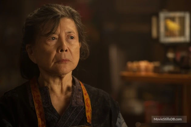 Bu Bu | Now You See Me Wiki | Fandom