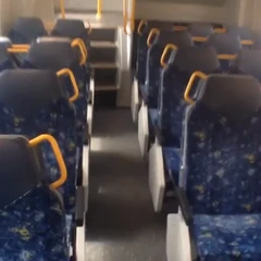 Sydney Trains T Set | NSW Trains Wiki | Fandom