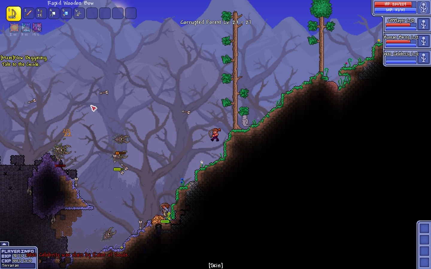 NPPlayers | N Terraria Wiki | Fandom