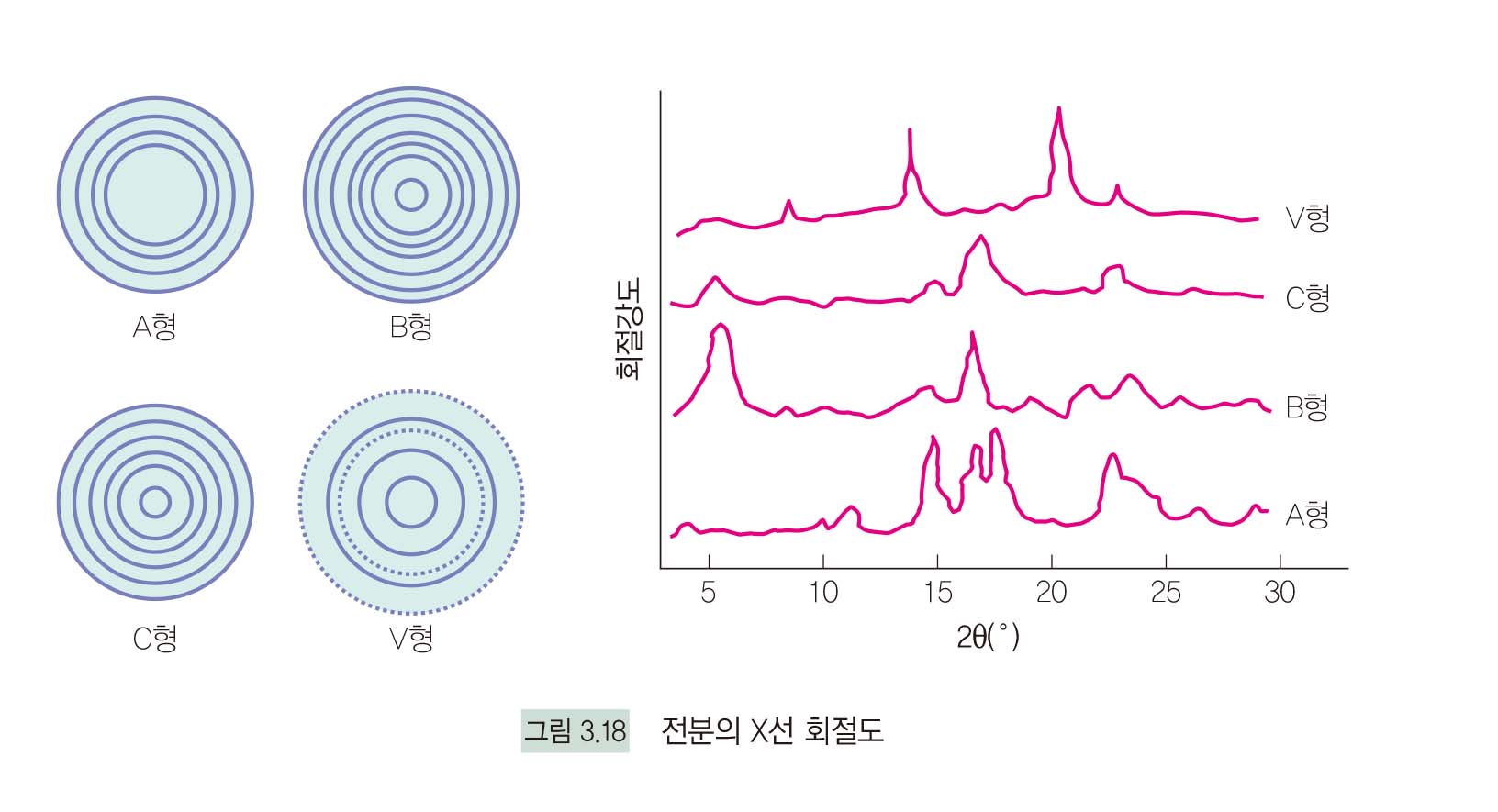 전분 식품영양 위키 Fandom Powered By Wikia