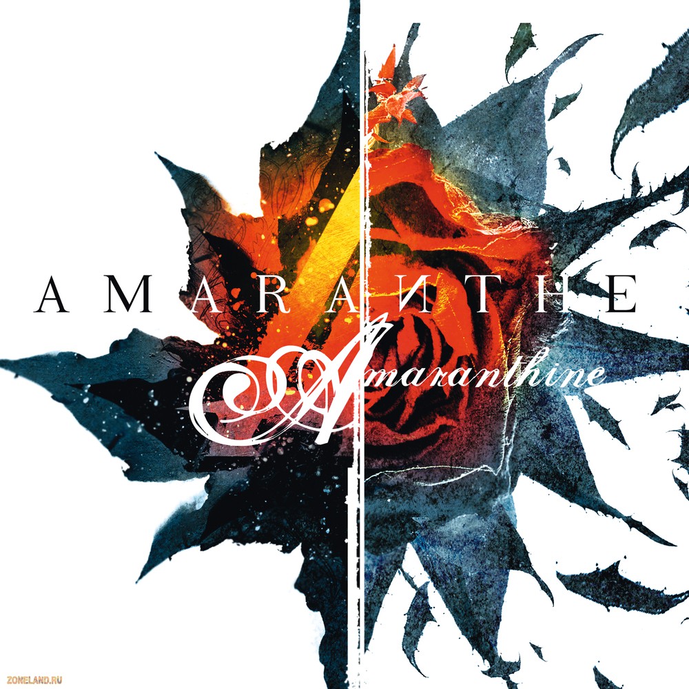 Amaranthine Nvsc Wiki Fandom Powered By Wikia