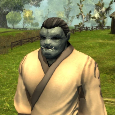 Gray Orc | NWN2Wiki | Fandom