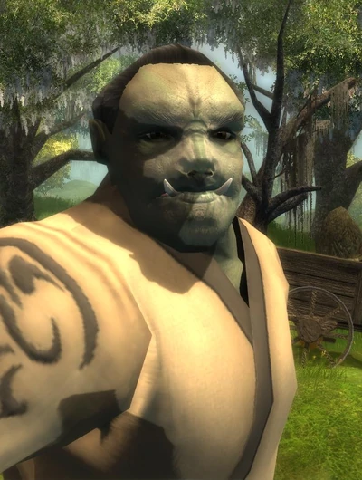 Gray Orc | NWN2Wiki | Fandom