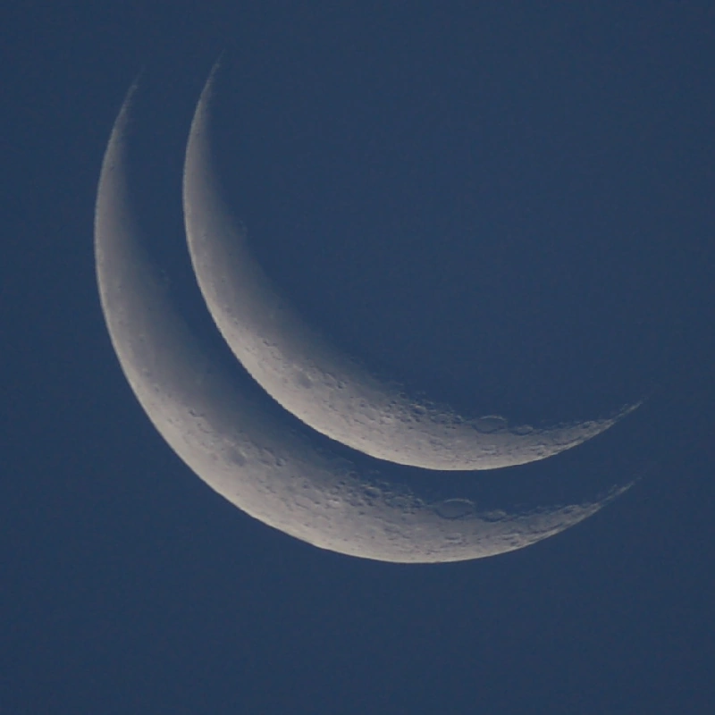 Clayton (Negosyatè) Danvers | NWoD: In Loco Parentis Wiki | Fandom