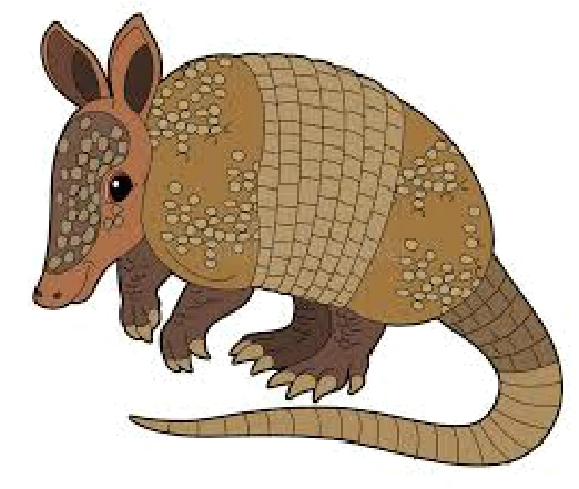 Jeca, o Tatu | Wiki O Sapinho Saltitante | Fandom