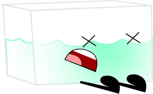 Pool | Object Invasion Wiki | Fandom