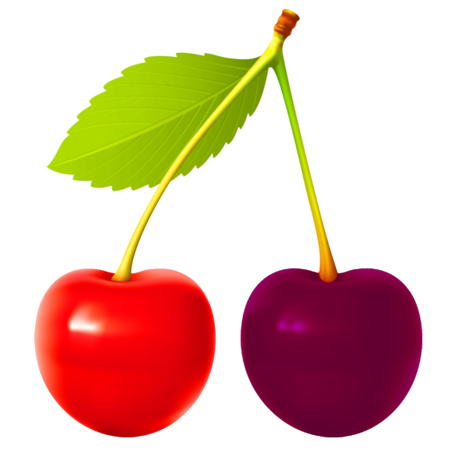 Assets | Object Oppose Wikia | Fandom