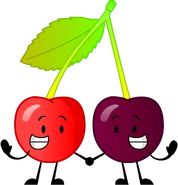 Object Oppose | Object Oppose Wikia | Fandom