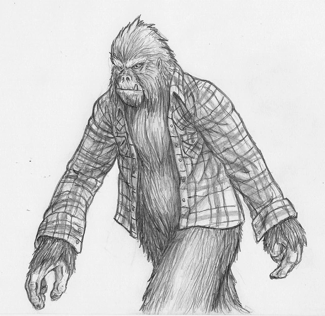 Flannel Shirt Sasquatch | ObscUrban Legend Wikia | Fandom