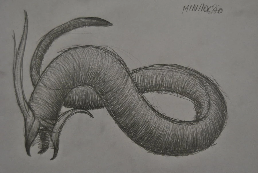 Category:South American Legends | ObscUrban Legend Wikia | Fandom