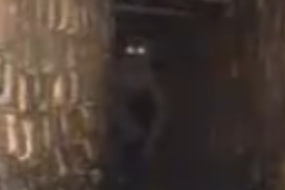 Sewer Humanoid Obscurban Legend Wikia Fandom Powered By Wikia