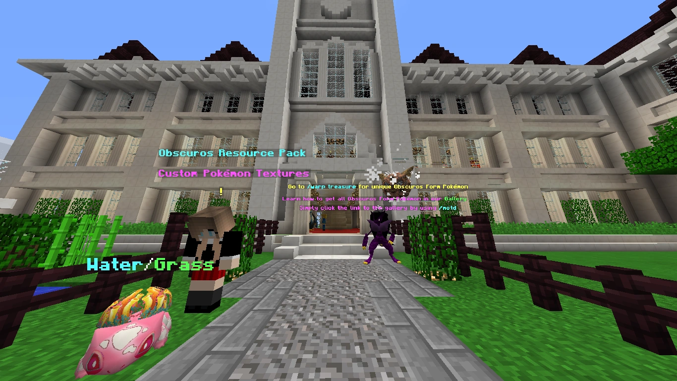 Beginner's Guide | Obscuros Pixelmon Wiki | Fandom