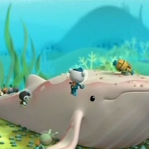 The Albino Humpback Whale | Octonauts Wiki | Fandom