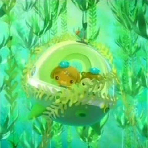 The Kelp Forest Rescue/gallery | Octonauts Wiki | Fandom
