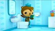 Shellington | Octonauts Wiki | Fandom