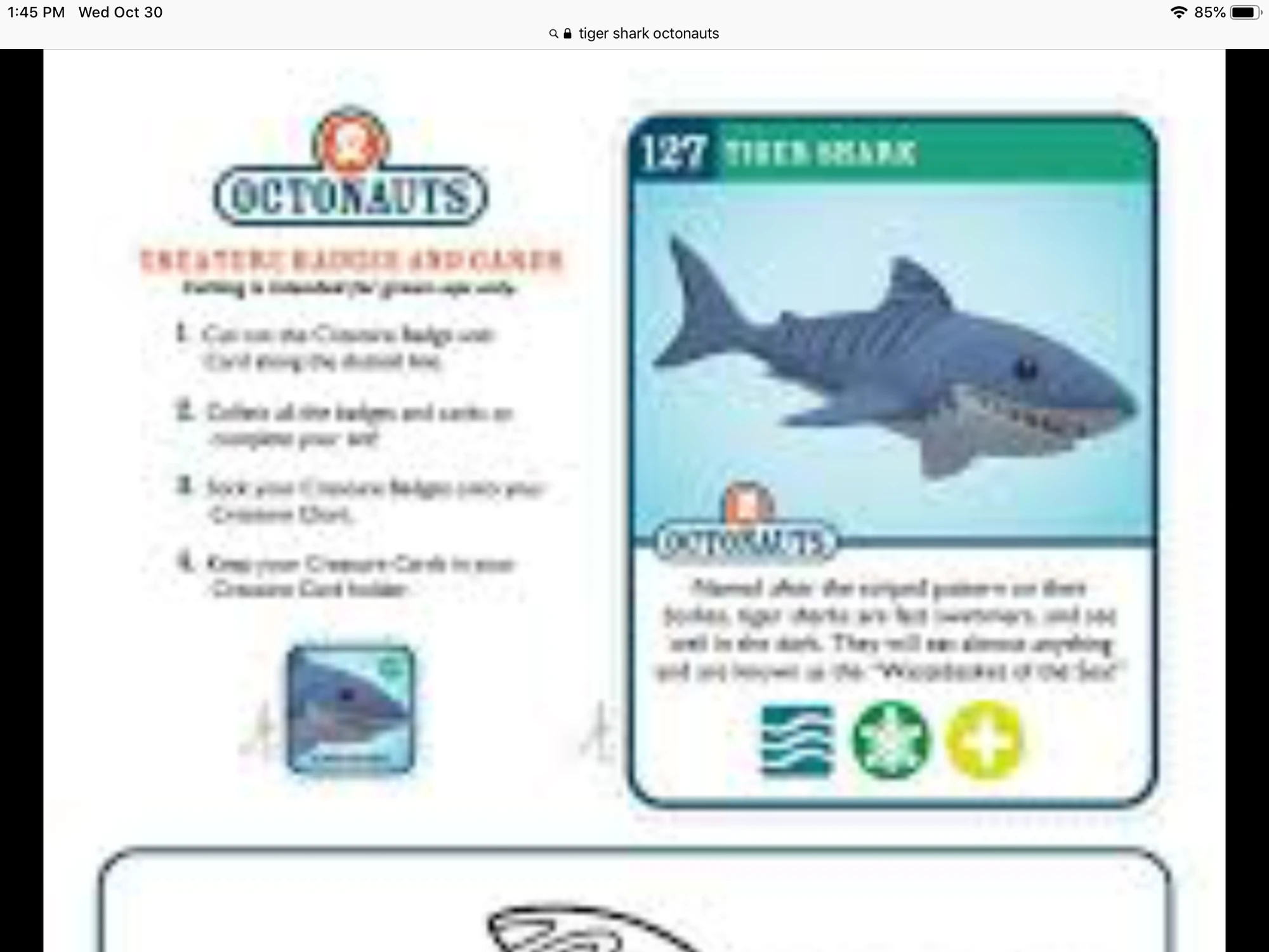 Tiger Shark | Octonauts Wiki | Fandom