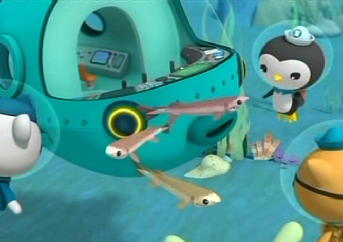 The Cookiecutter Sharks Octonauts Wiki Fandom Powered By Wikia